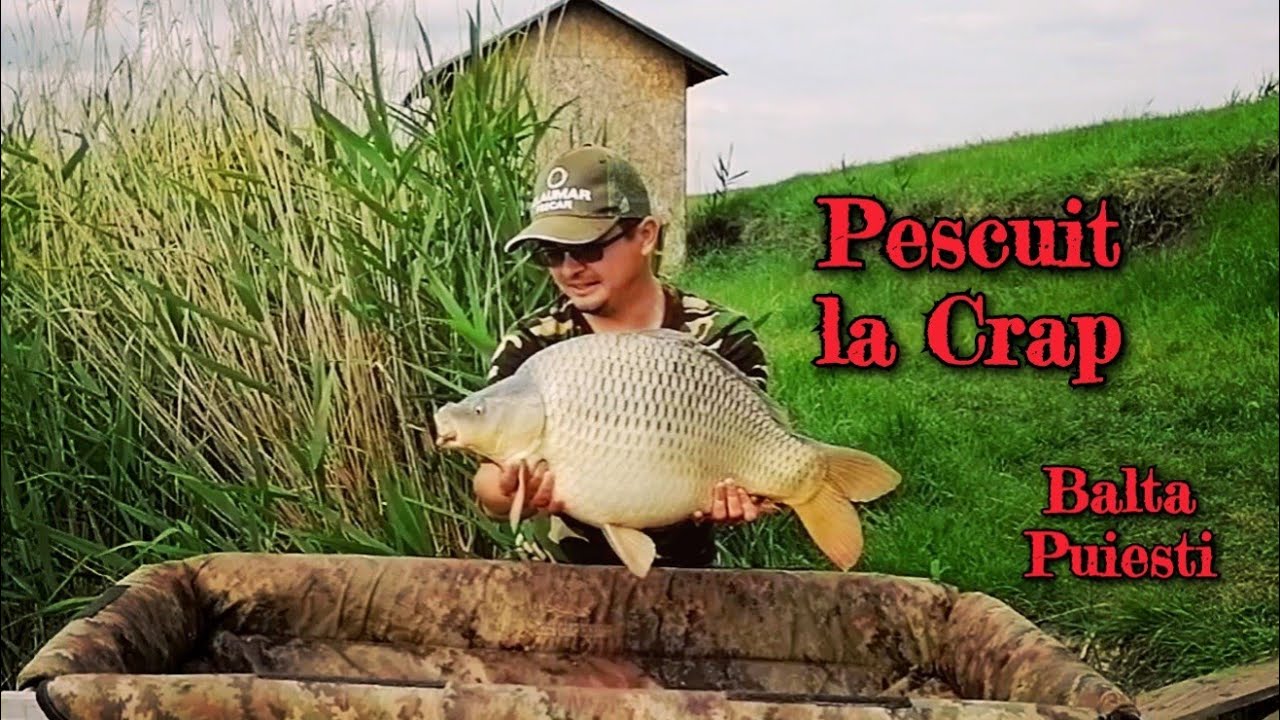Partidă de PESCUIT la CRAP de 24 h pe balta PUIEȘTI (la Genes) - YouTube