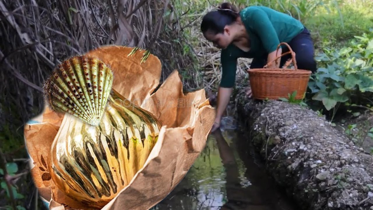 The variation of the clam shell of the Tridacna snail produces amazing ...
