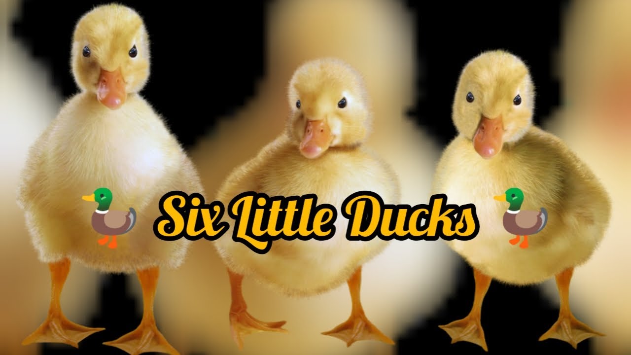 Six little Ducks Poem/ rhymes for kids/baby song - YouTube