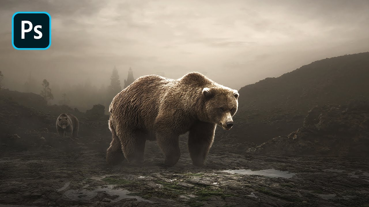 The Bear - Photoshop Tutorial Manipulation for Beginners - YouTube