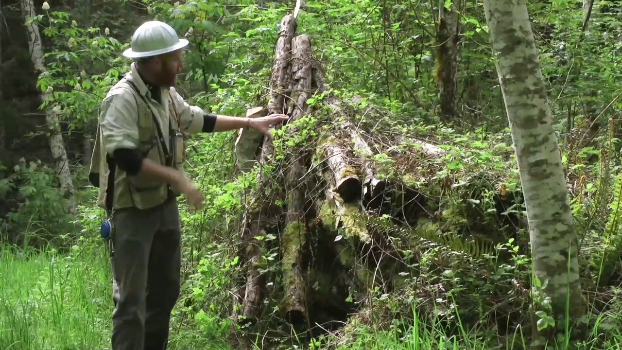 How to Build a Constructed Habitat Log - YouTube