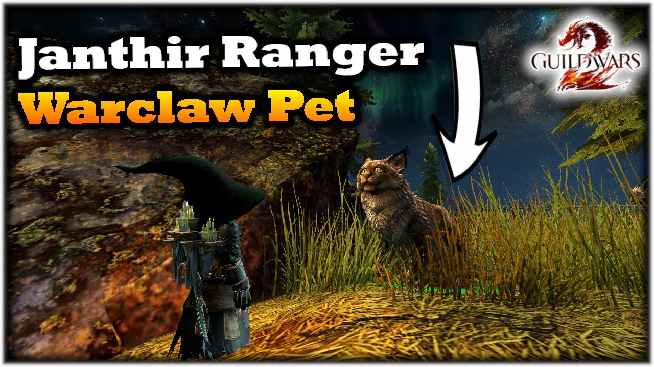 Janthir Warclaw Ranger Pet - A Guild Wars 2 Guide - YouTube