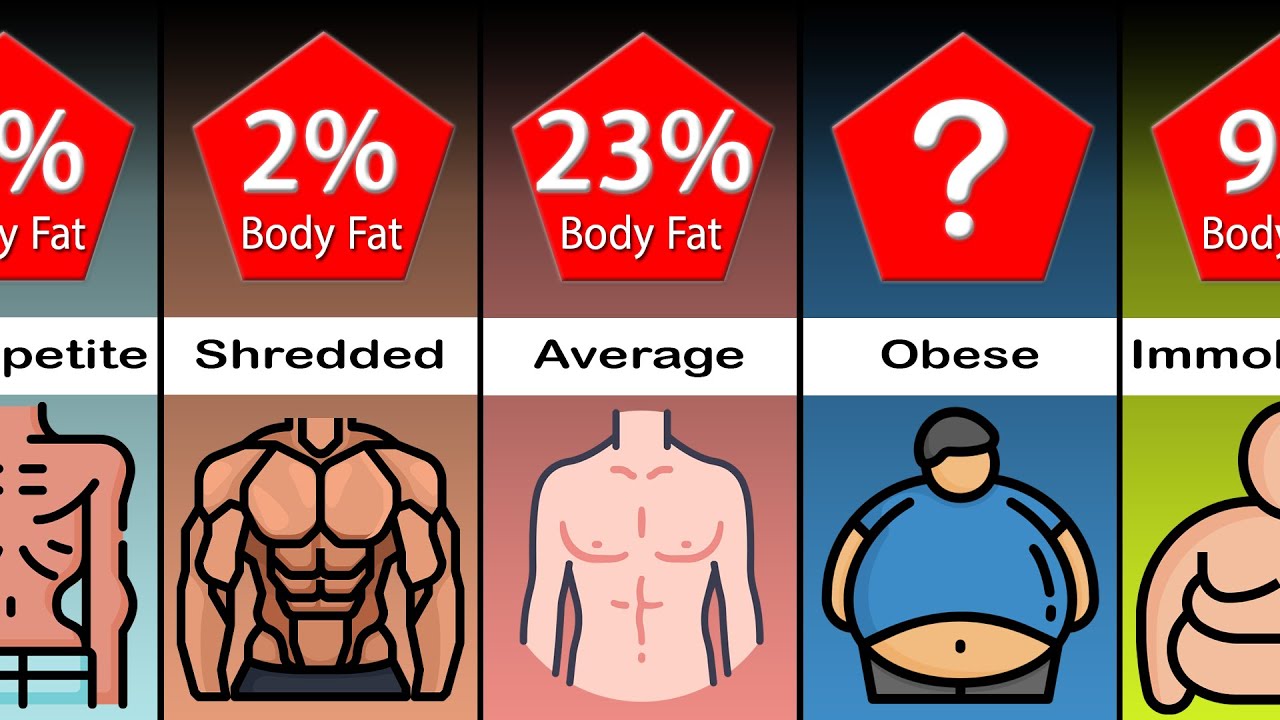 Comparison: You at Different Body Fat Levels - YouTube