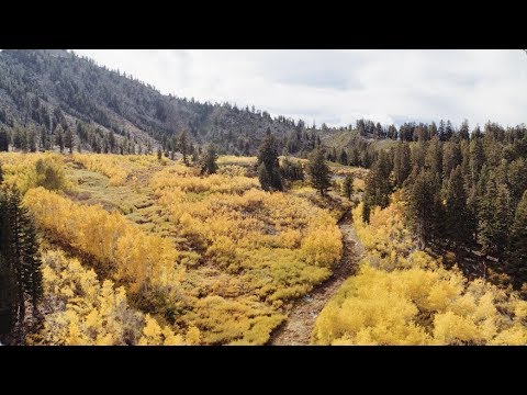 Autumn in Reno Tahoe - YouTube