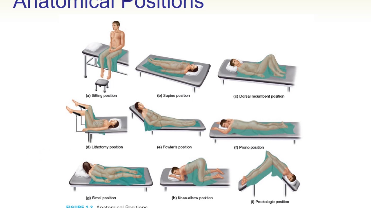 Diagnosis3e PPT 2017 ch01 - YouTube