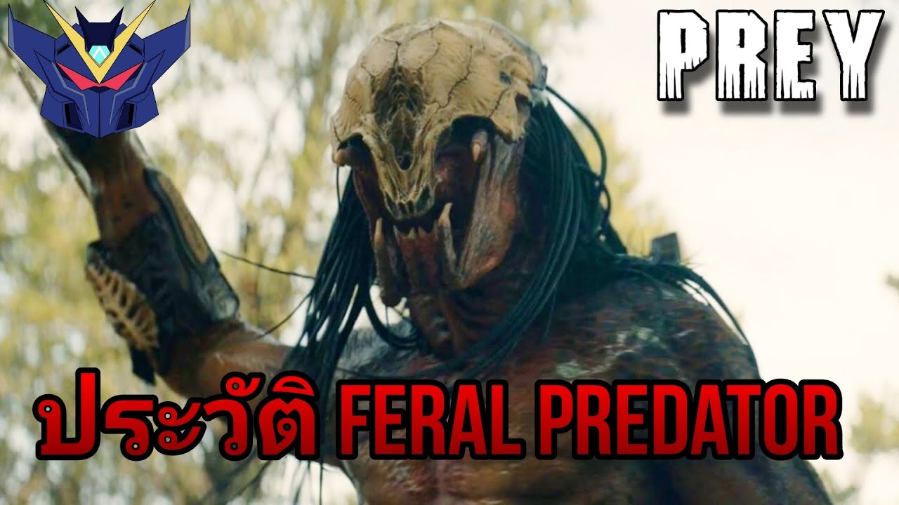 ประวัติ: Feral Predator (นักล่าตัวแรกในจักรวาลหนัง Predator) - YouTube