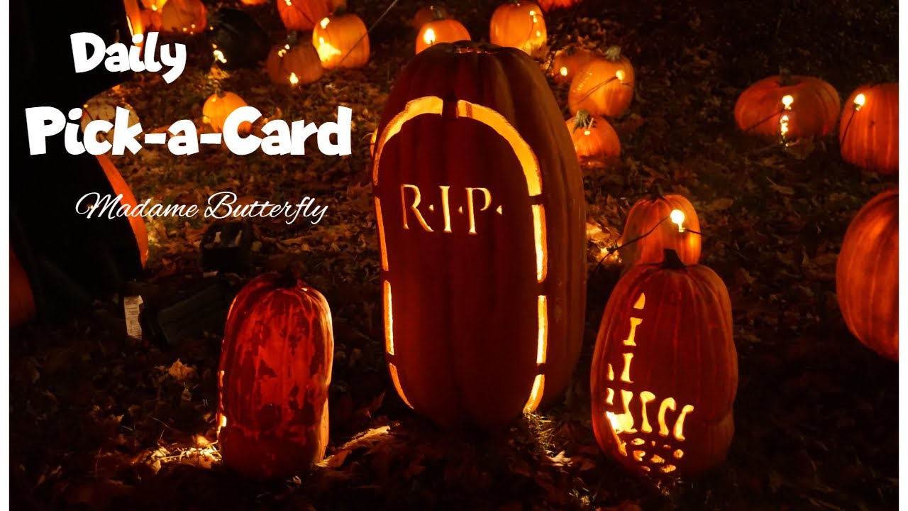 🎴🔮🌈🧁👻🎃Daily Pick-a-Card Reading~ Thursday 27th October 2022 (Timeless ...