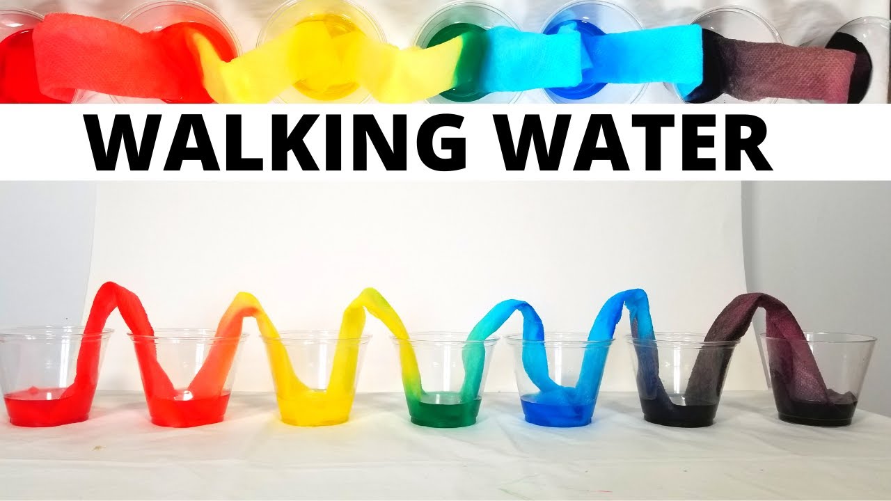 WALKING WATER easy kids science rainbow experiment - YouTube