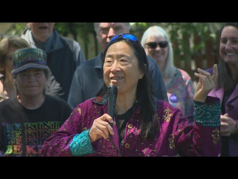 Idaho lawmaker Sue Chew announces retirement after 18-year tenure - YouTube