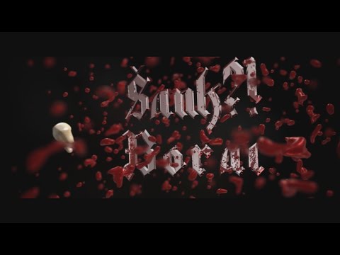 Šank?! - Borac (official video)
