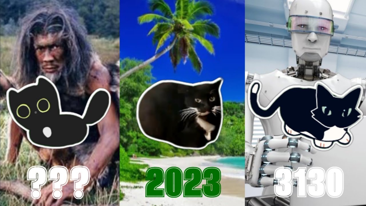 Maxwell The Cat Dance in Different years (Part 10) - YouTube