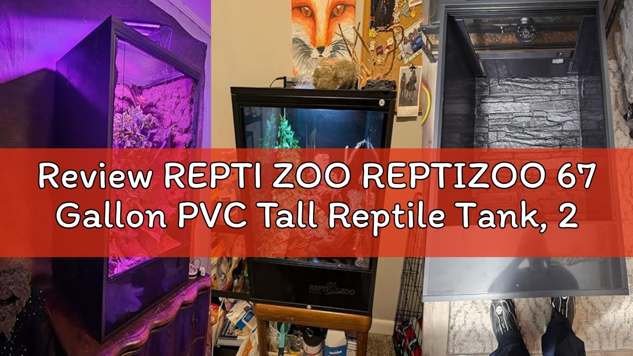 Review REPTI ZOO REPTIZOO 67 Gallon PVC Tall Reptile Tank, 24 x18x36 ...