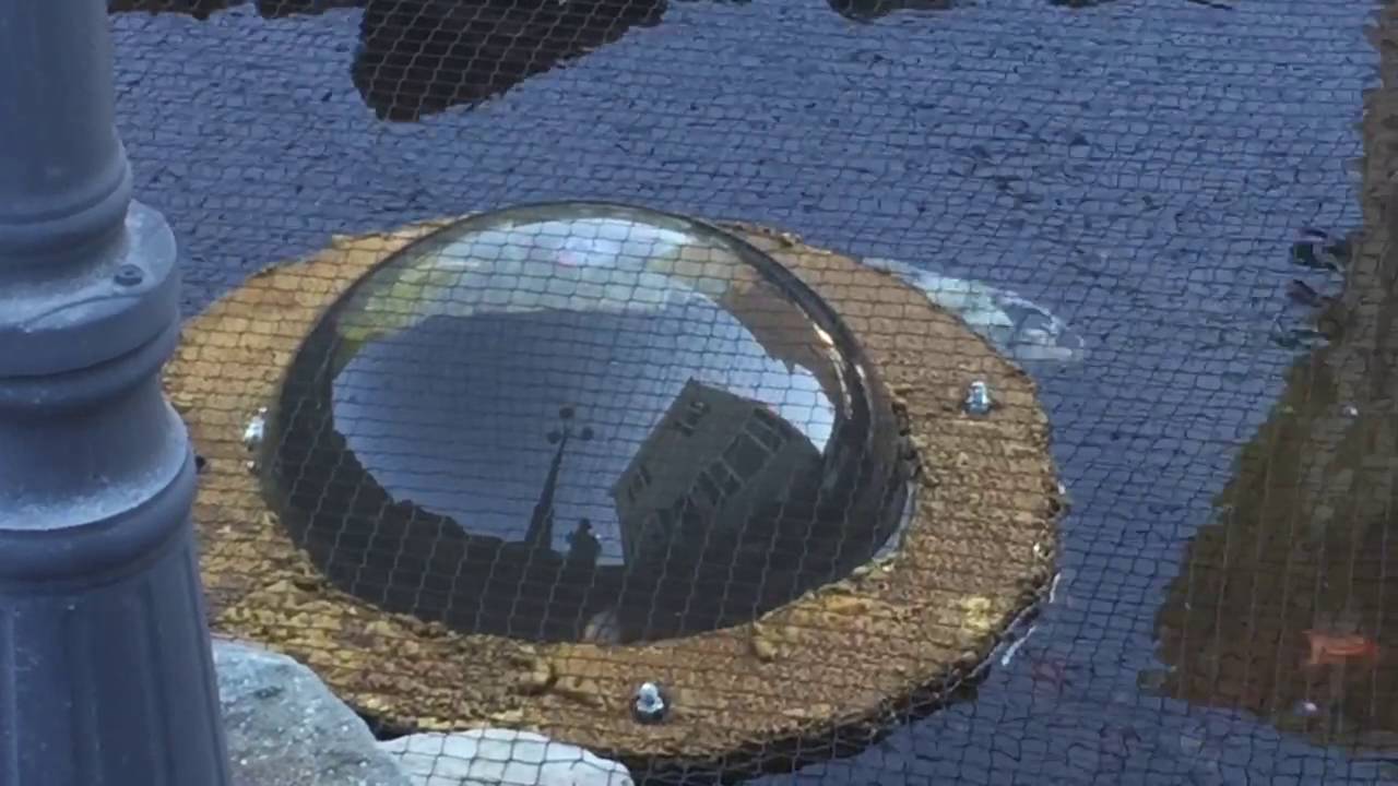 DIY fish dome - YouTube