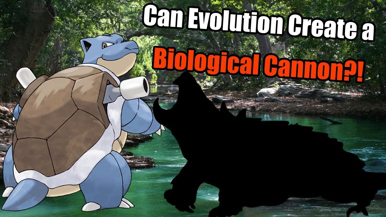 What if Blastoise was real? - Building a living Tank - YouTube