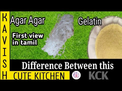 Agar agar Vs Gelatin/Difference between in tamil - YouTube