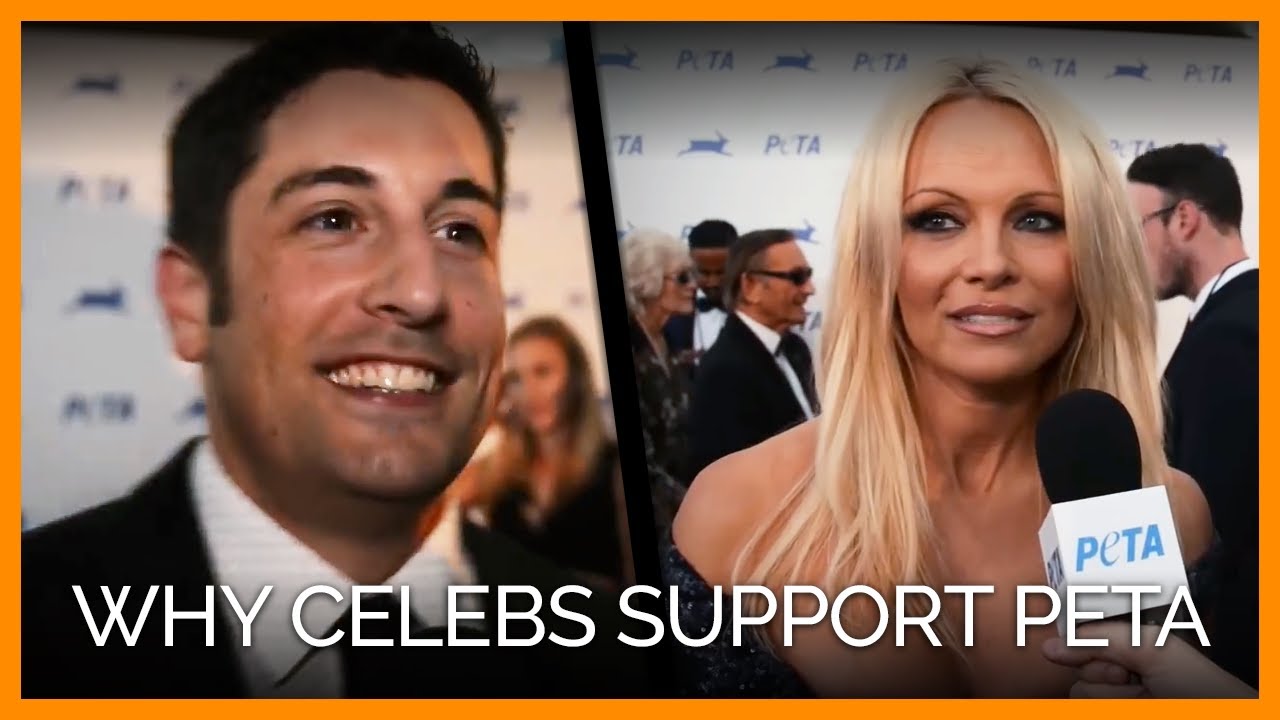 Celebrities Say Why They Support PETA - YouTube