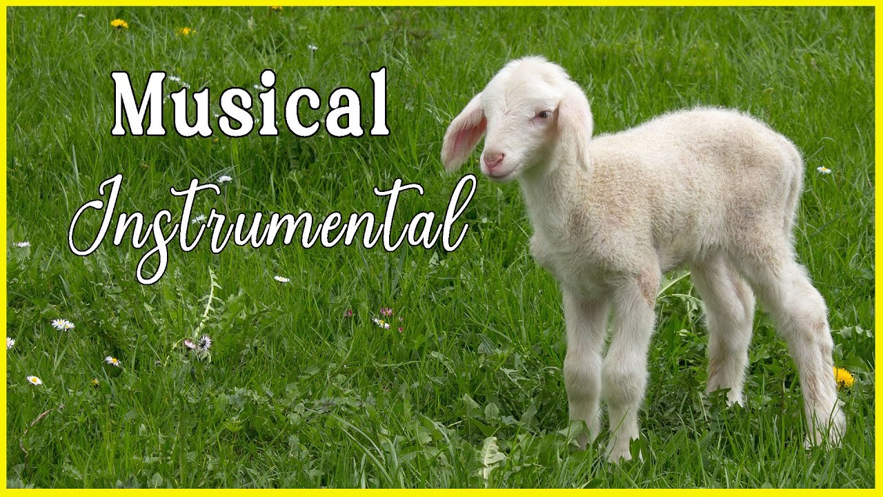 Musical Instrumental - Best Prayer Melodies || Catholic Hymn || Best ...