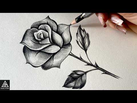 How to Draw a Realistic Rose 🌹 | Easy Pencil Drawing Tutorial for Beginners