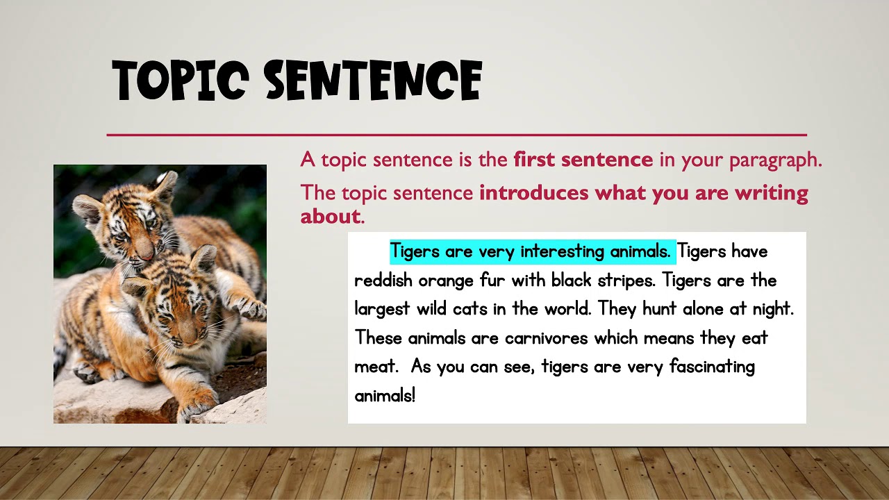 Paragraph Intro for Kids - YouTube