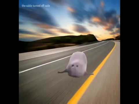 So stank, must leave on the road again 10 min version - YouTube