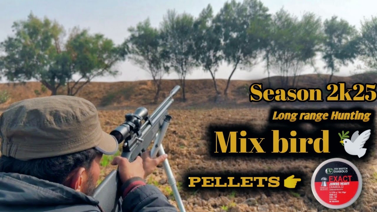 Long range Hunting mix bird |season 2k25 |PCP airgun pr900s - YouTube