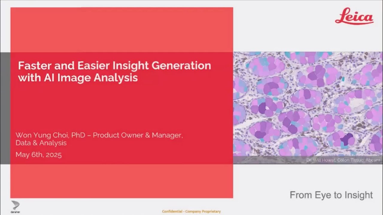 Get to Insights Faster and Easier with AI Image Analysis Tools - YouTube