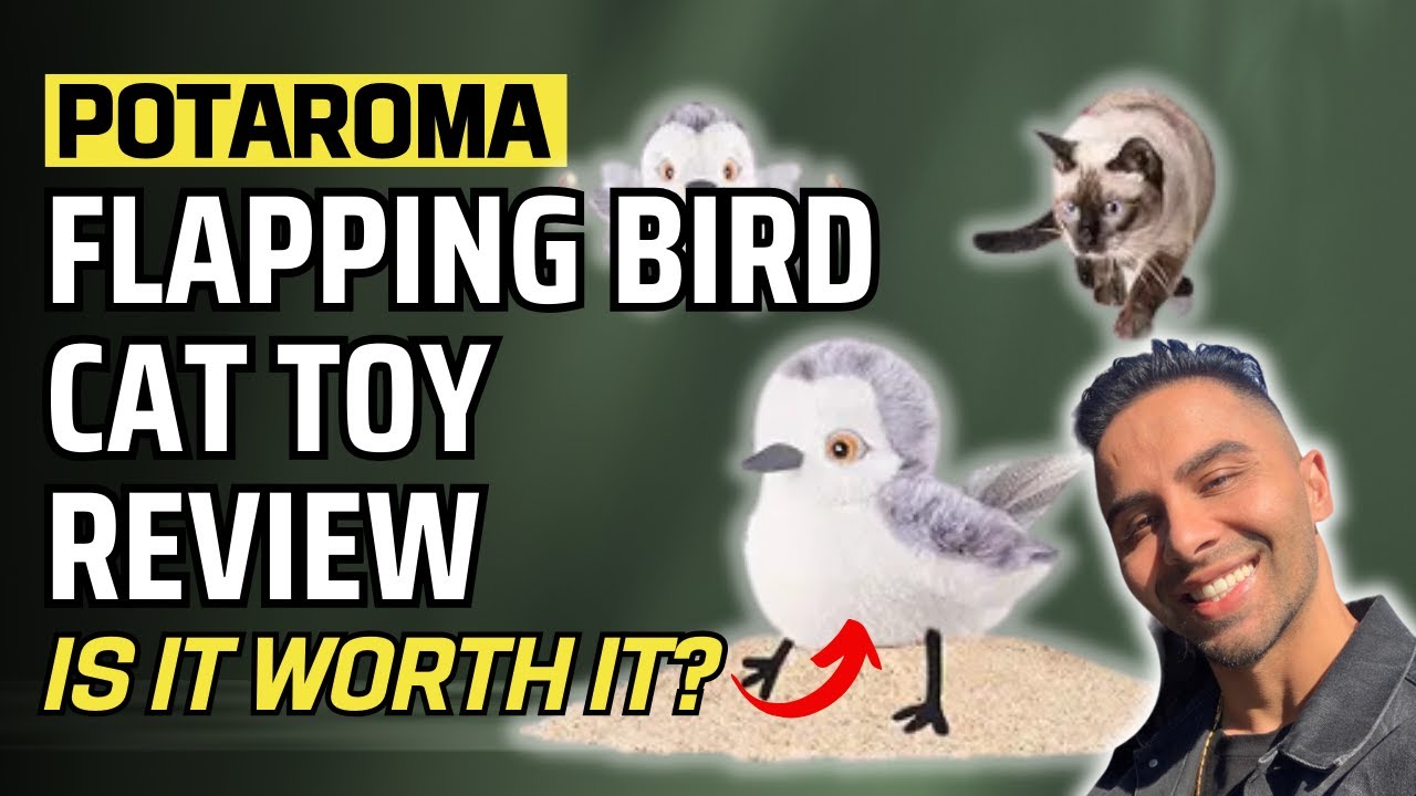 Potaroma Cat Toy Review: Interactive Flapping Bird for Bored Cats, Home ...
