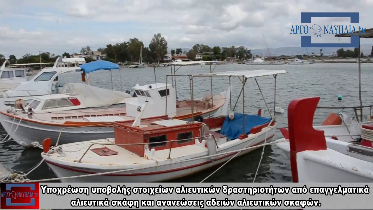 Υποχρέωση υποβολής στοιχείων αλιευτικών δραστηριοτήτων από ...