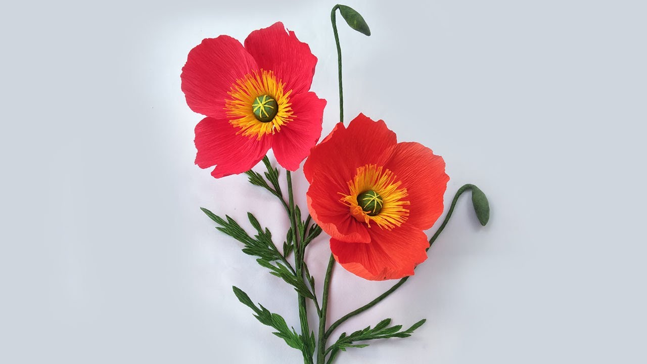 How To Make Cute Poppy Paper Flowers | Poppy Flower Crafts - YouTube