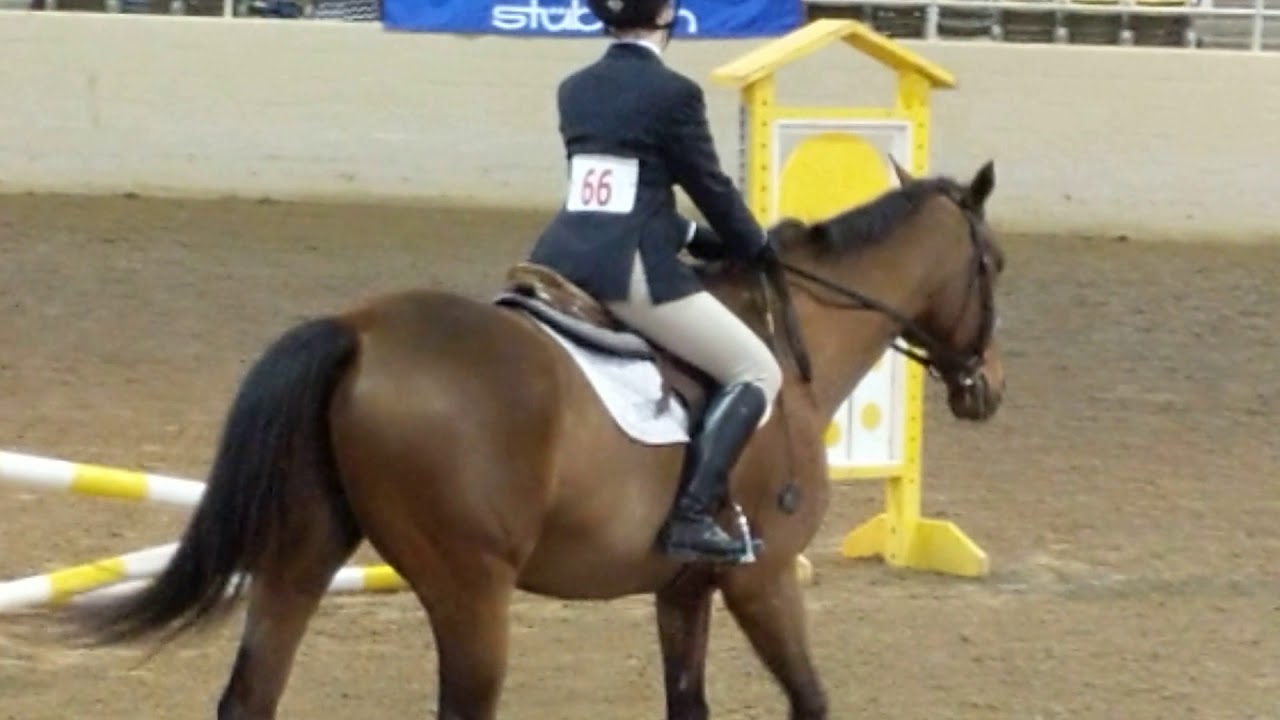 Leia California IEA Equestrian finals - YouTube