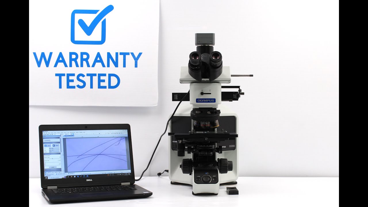 Olympus BX53M Brightfield/Darkfield Microscope [BOSTONIND] - 59538 ...