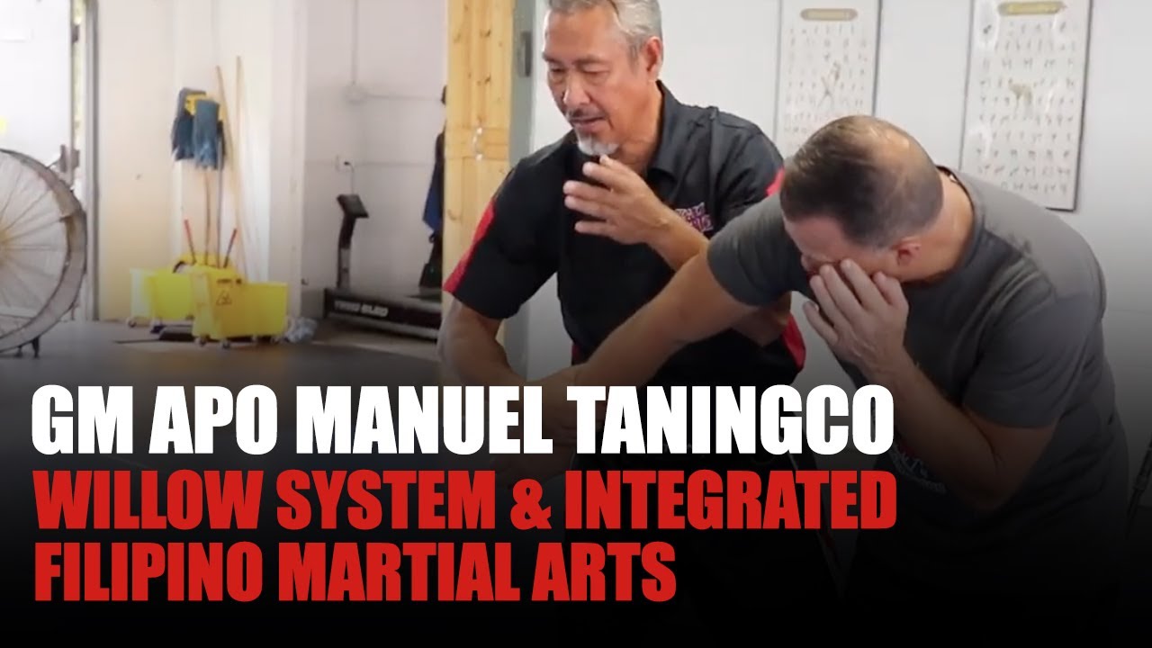 Interview with GM APO Manuel Taningco | Willow System & Integrated ...