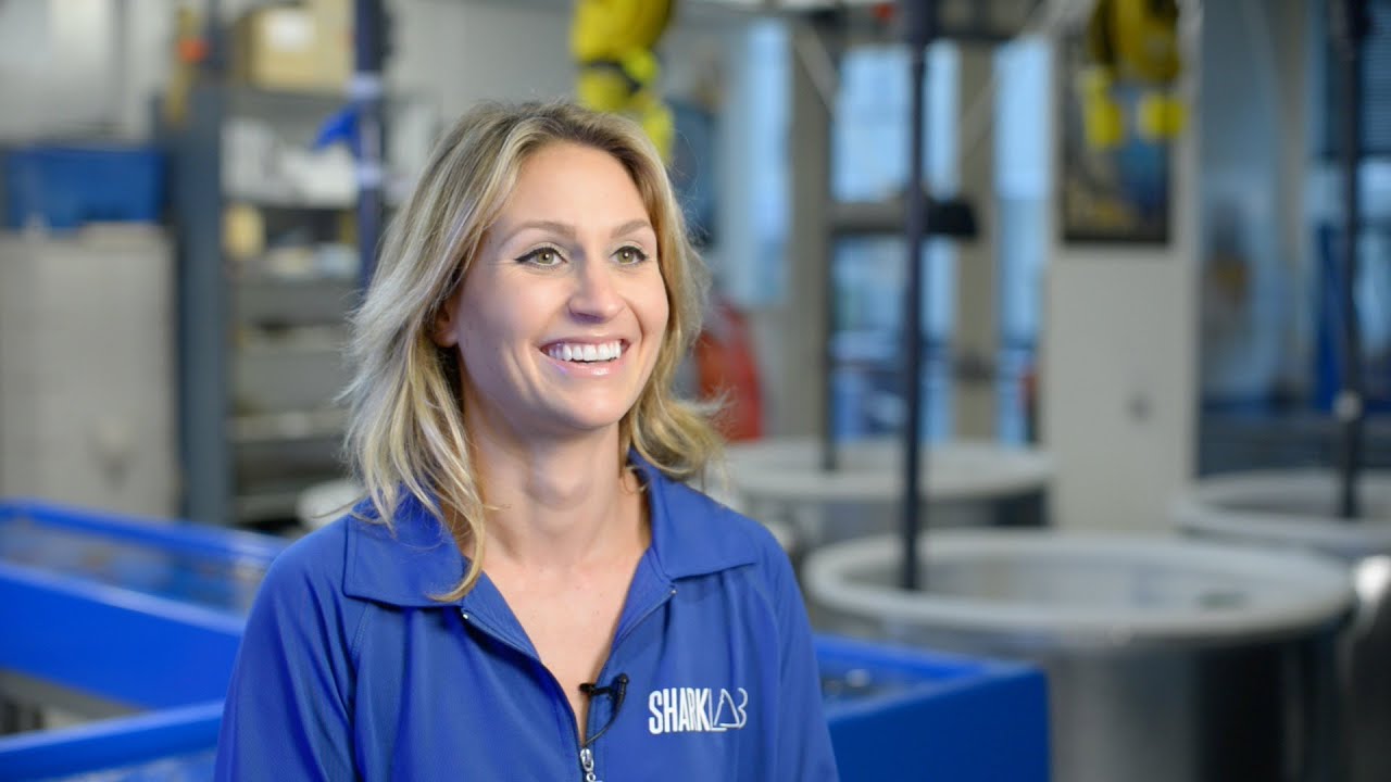 Why Graduate Students Join Shark Lab - YouTube