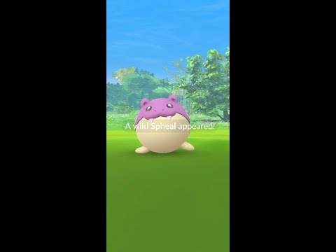 Shiny Spheal Back to Back - YouTube