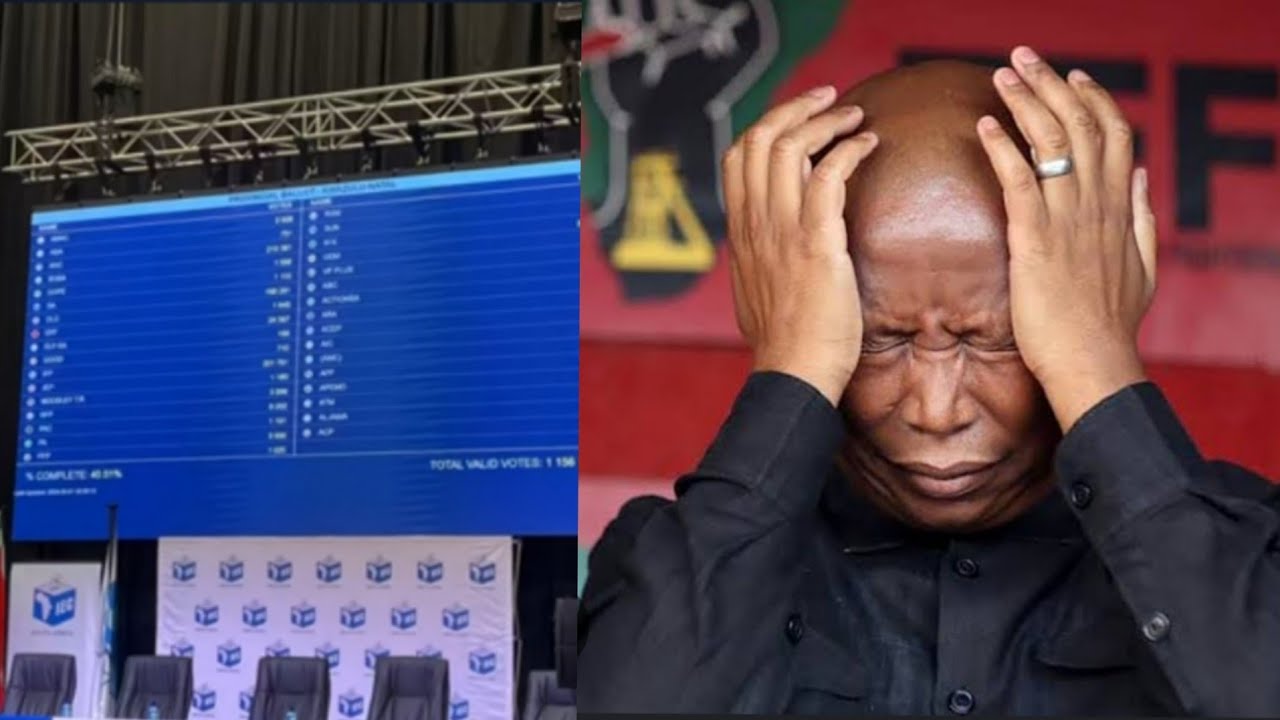 2024 Elections: " Open border policy" hitting the EFF badly: Supporters ...