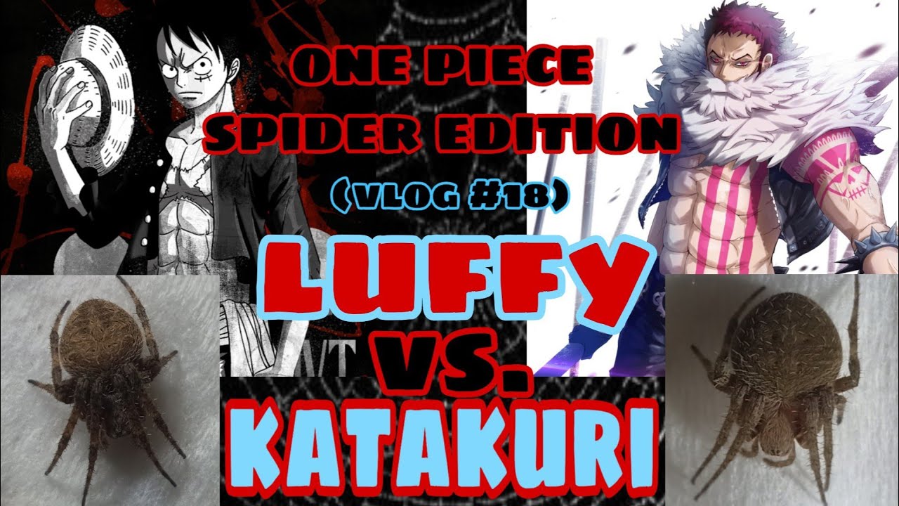 LUFFY vs. KATAKURI... ONE PIECE SPIDER EDITION...(VLOG #18) - YouTube