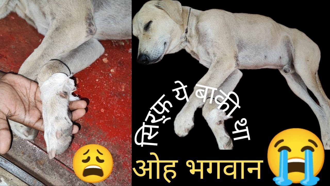 Bache ko kya ho gya😩||@sweetshikhavlogs||Shikha barnwal||Treatment of ...