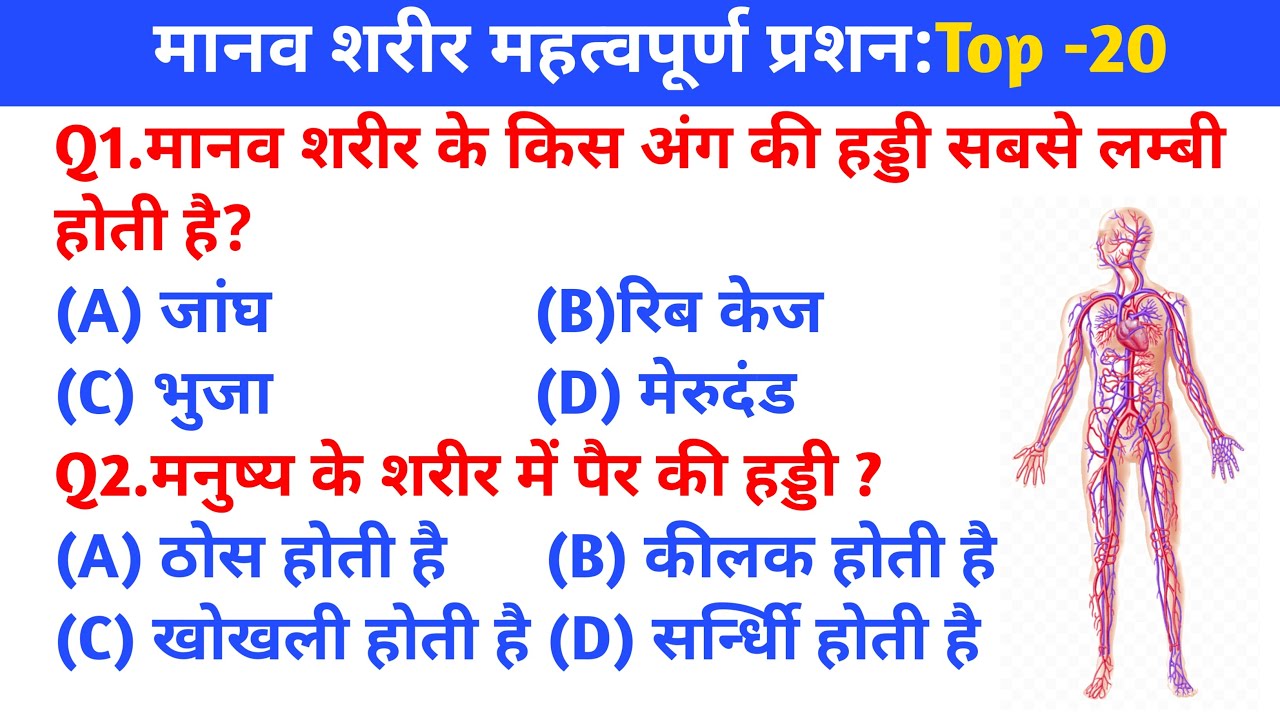 Human body gk questions in Hindi #ssc #gk gs#ias#body part name - YouTube
