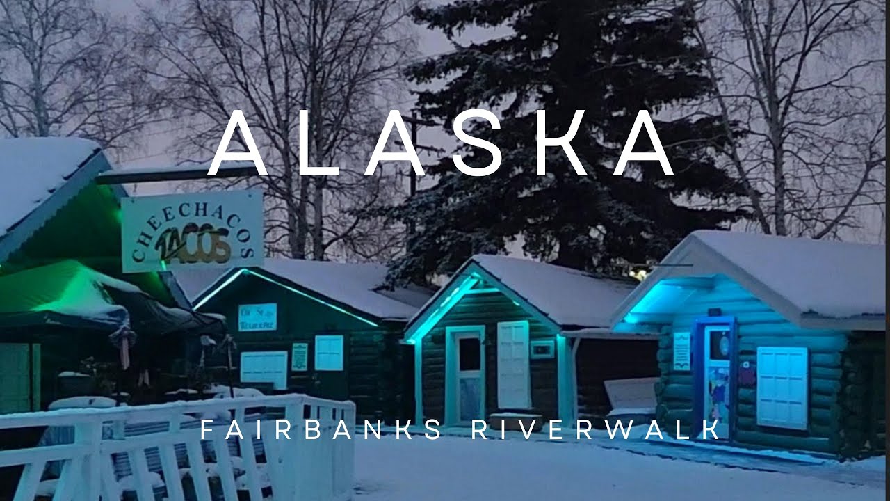 Alaska Twilight Stroll at Christmas: Chena River Walk Fairbanks (Moose ...