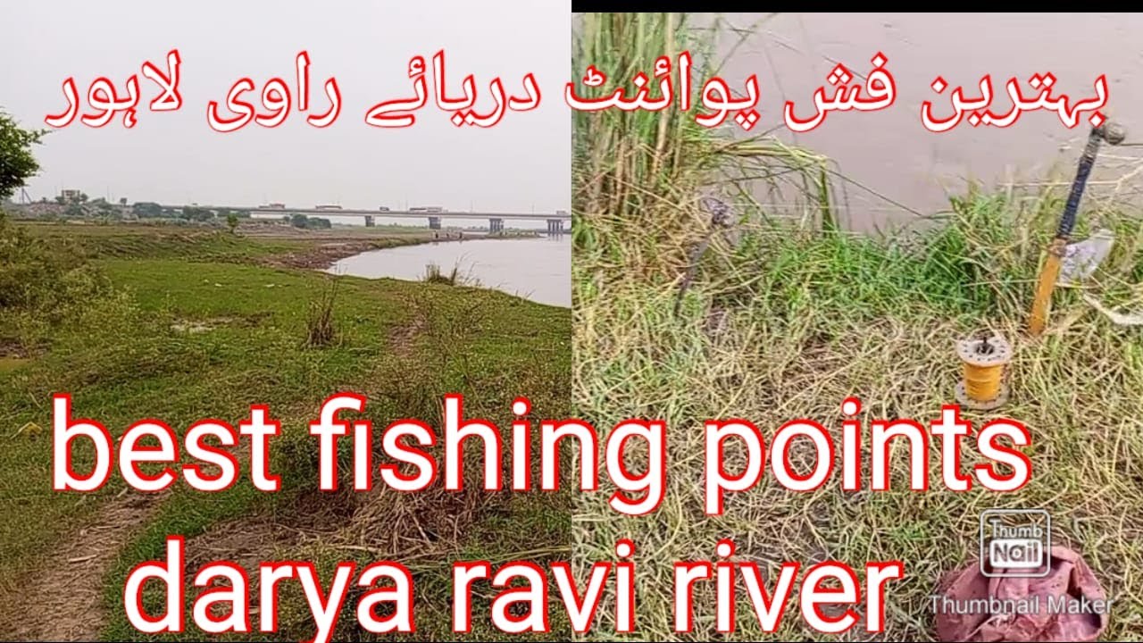 darya ravi best fishing point دریائے راوی بہترین مچھلی پوائنٹ - YouTube