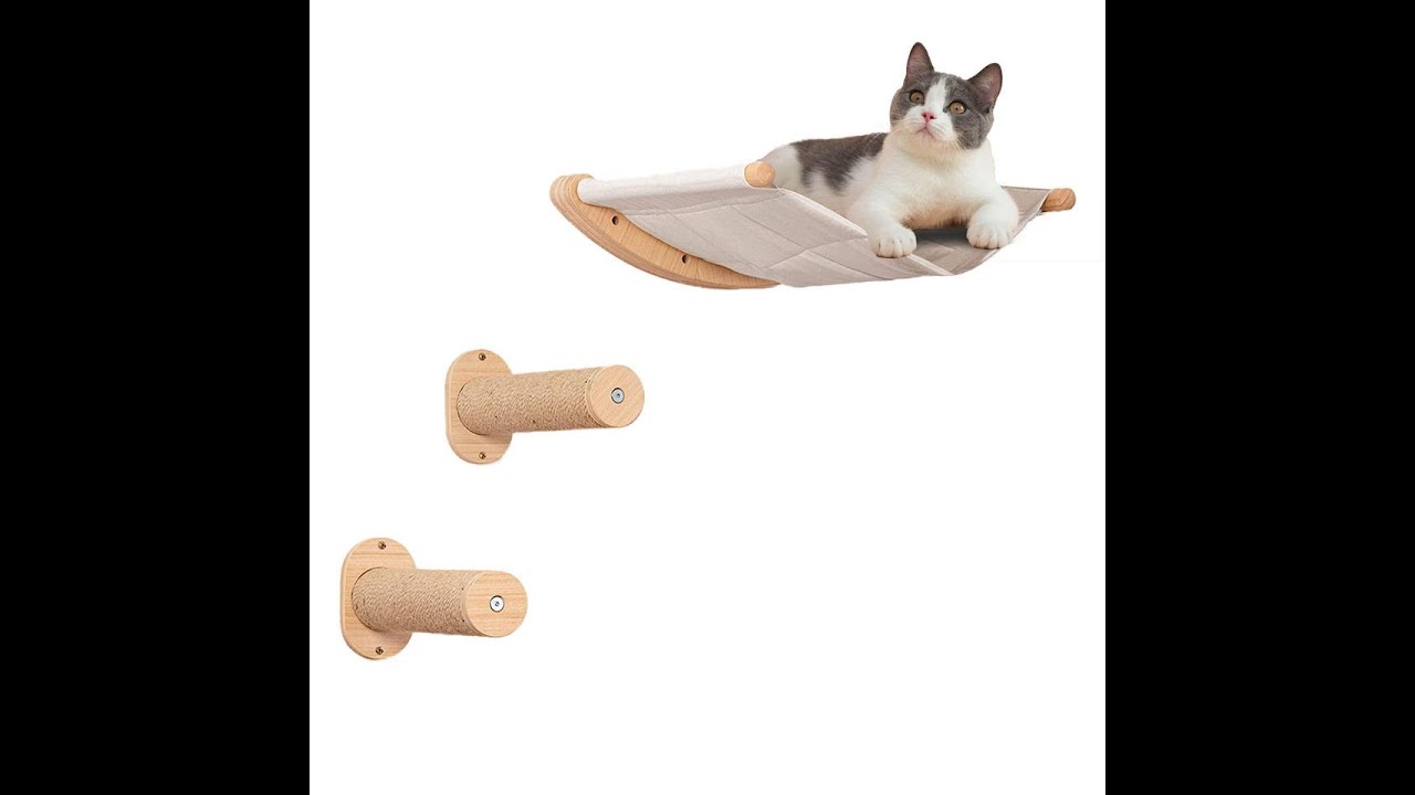 cat wall furniture - YouTube