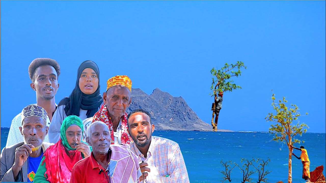Xukuumadu Waa In Ay Geedka Beeyada Suuq U Doontaa Hadii kalee ...