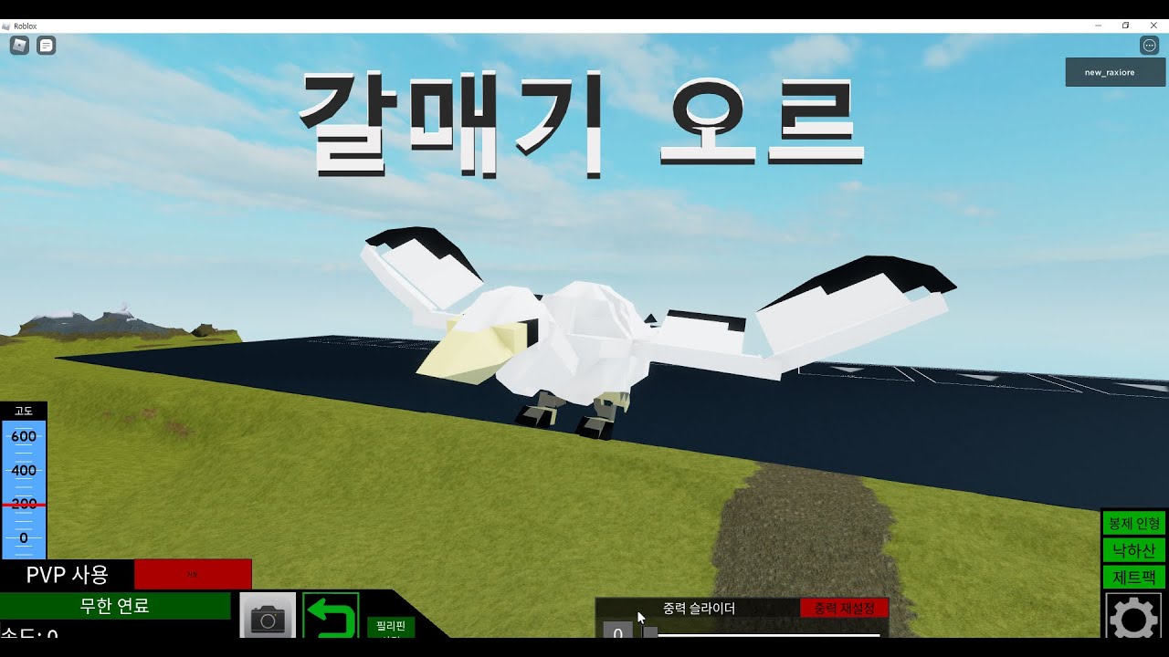 plane crazy raxiore seagull (갈매기 랙시오르) - YouTube