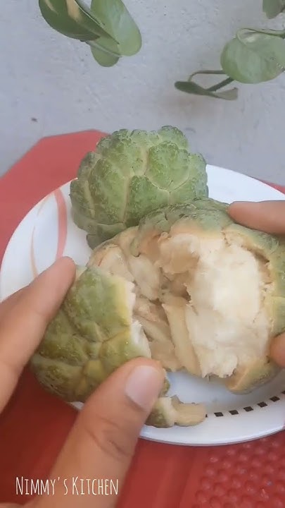 #shorts #viral #trending custard apple - YouTube