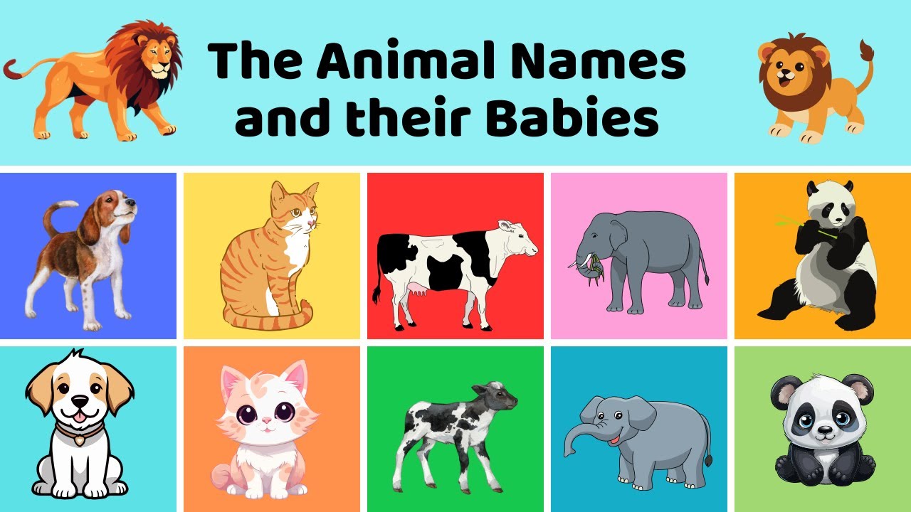 Animals and Their Babies | Learn Animal Names and Their Young Ones with ...
