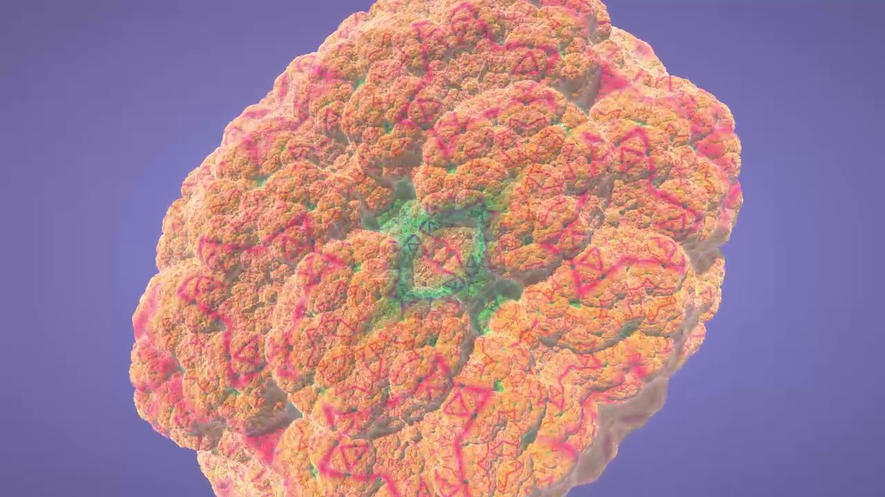 3D Fractals (Initial Test) - YouTube