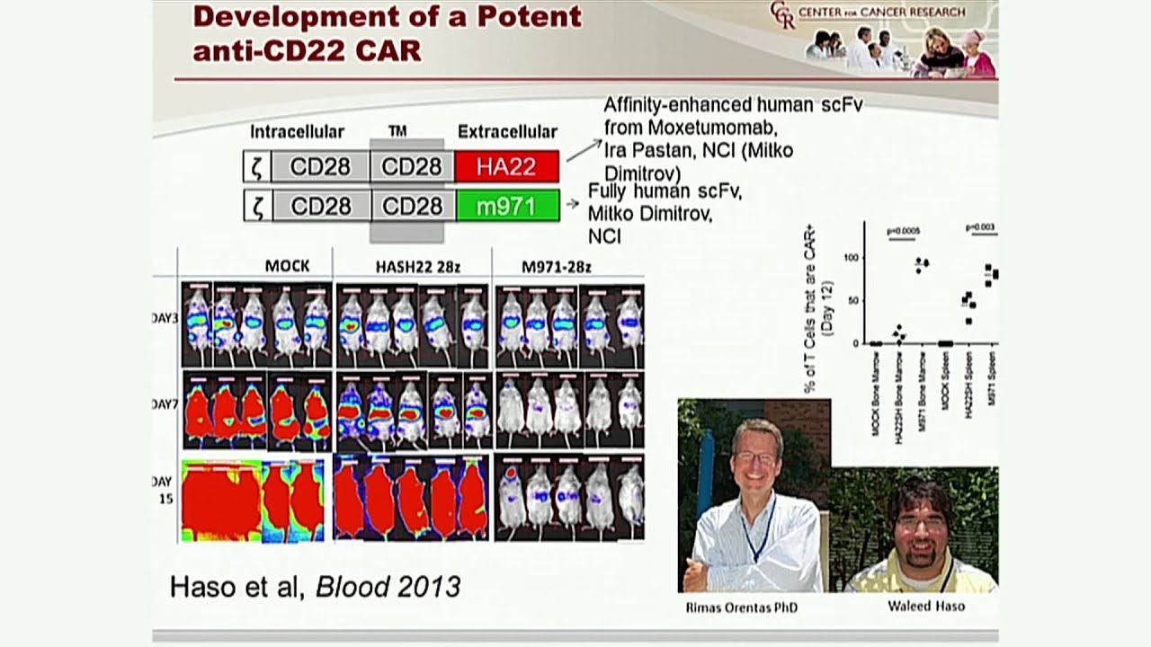 CIPO2015: Pre-clinical and Clinical Development of CD22-Targeted CAR T Cells - YouTube