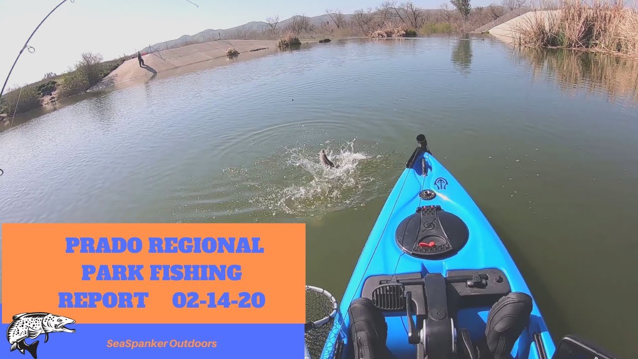 Prado Regional Park Fishing Report 02-14-20 - YouTube