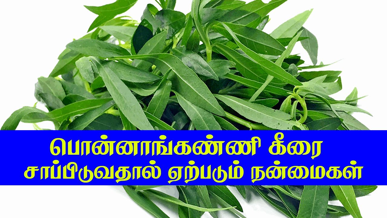 Ponnakanni spinach and its medicinal benefits and specialties II ...