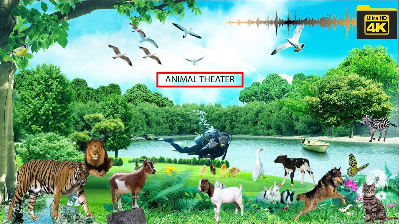 Animal Theater Little Animal Tiger Lion Cat Dog Cow Goat Eagle Sheep ...